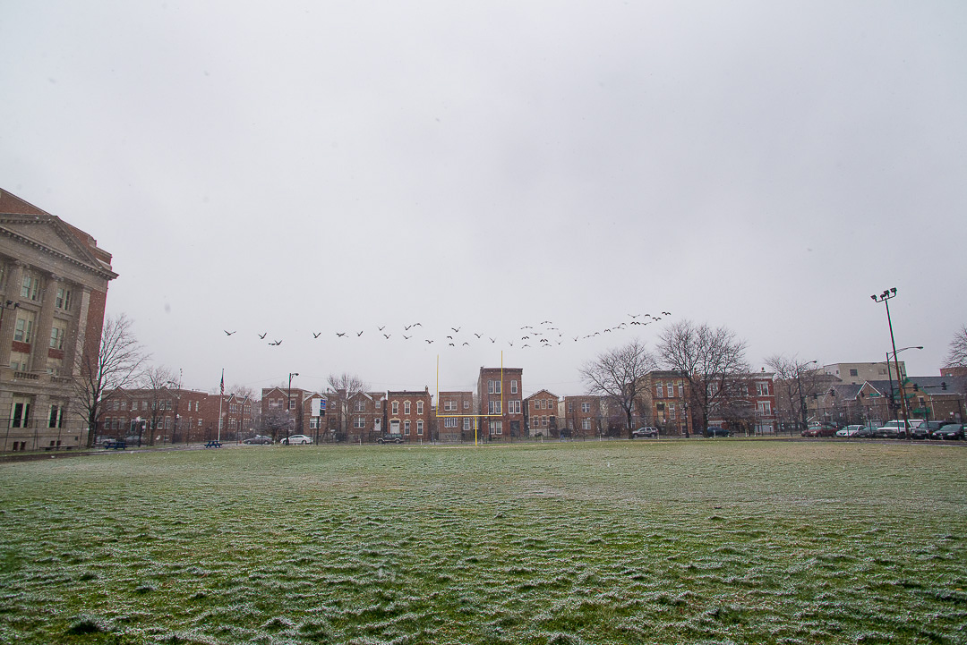 Peace on Earth/ Chicago: A Giant Peace Symbol produced through ...